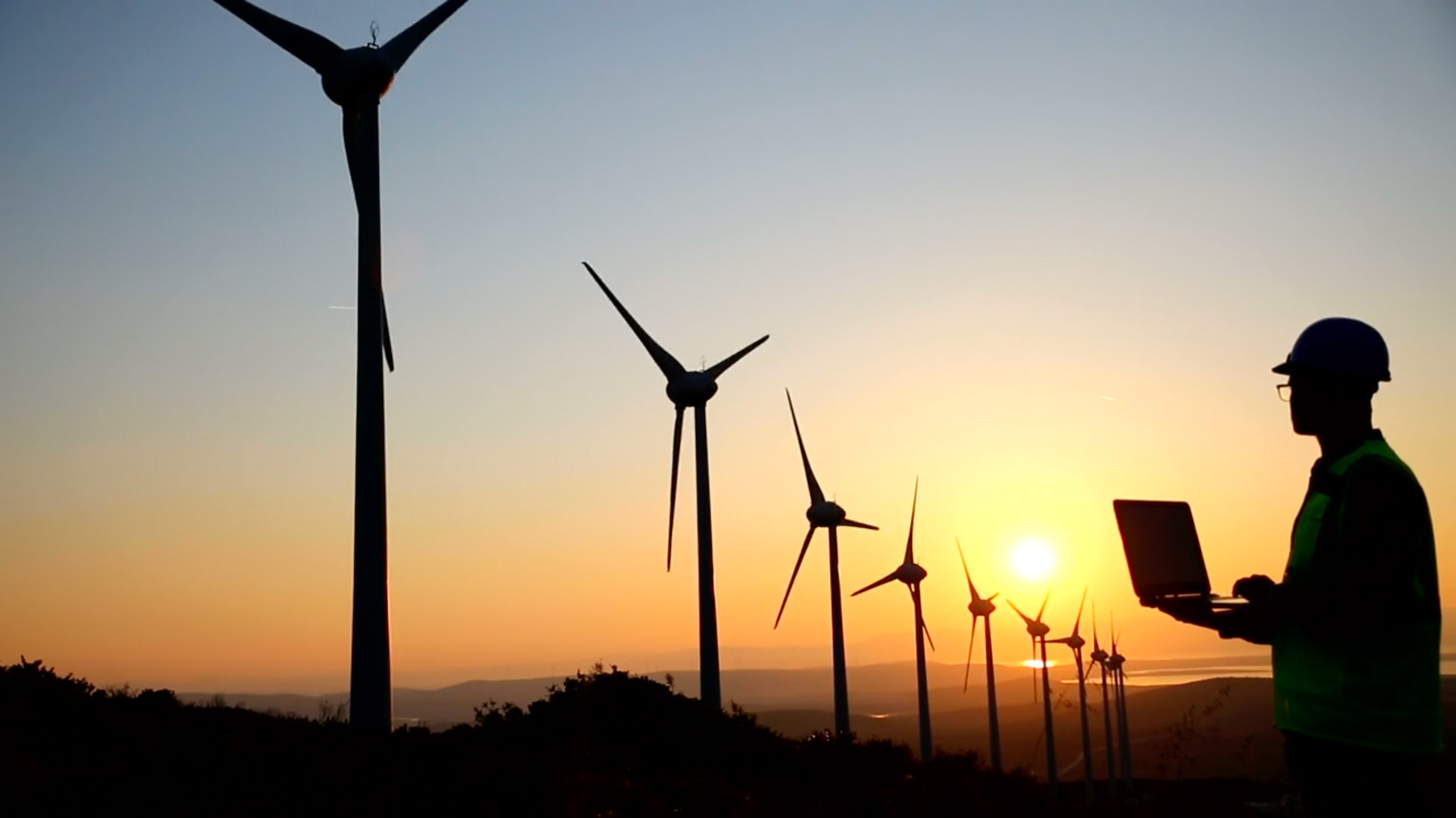 Iowa State University – Engineering | Flying Hippo