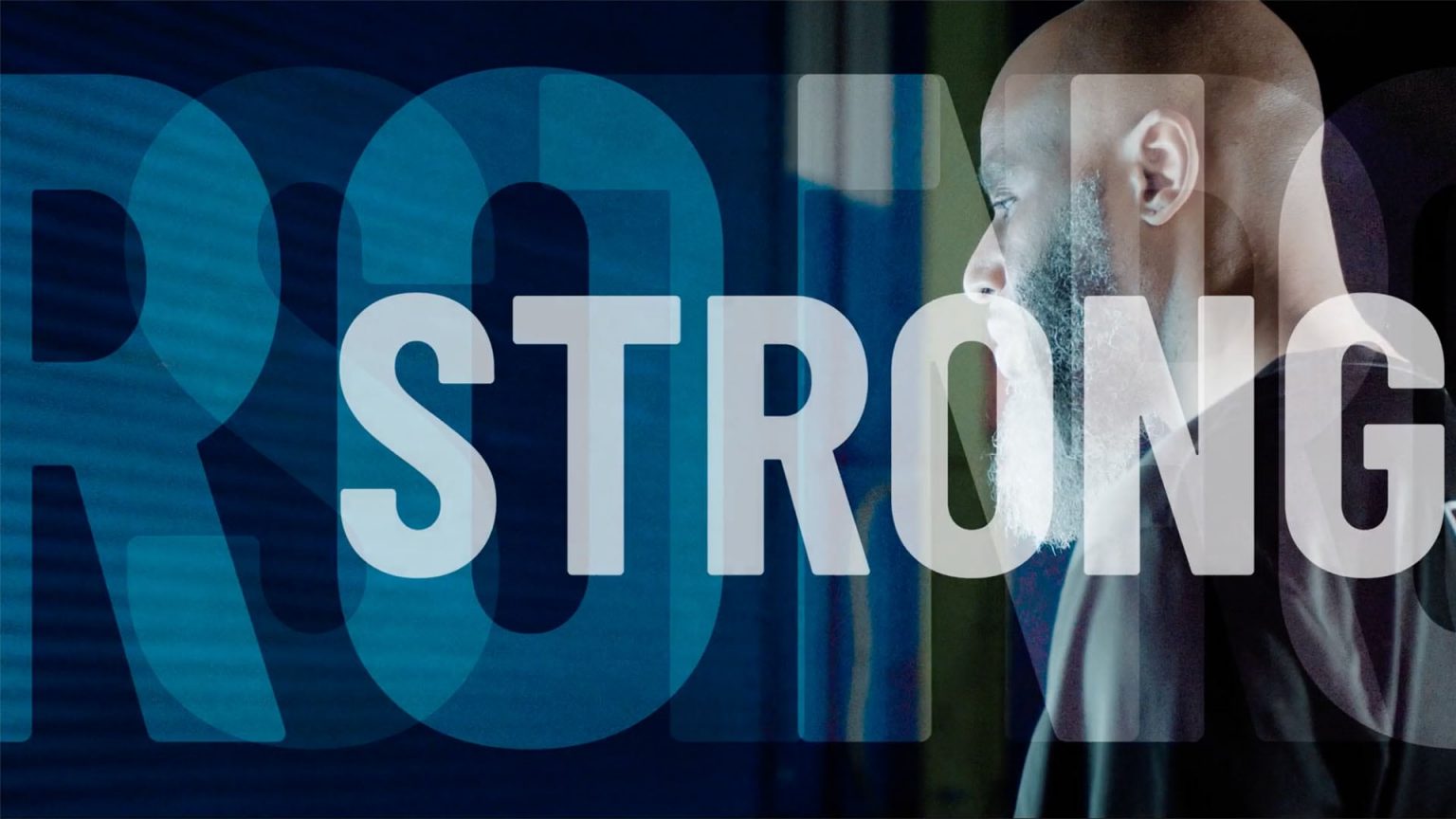 Flying Hippo » JTech Institute