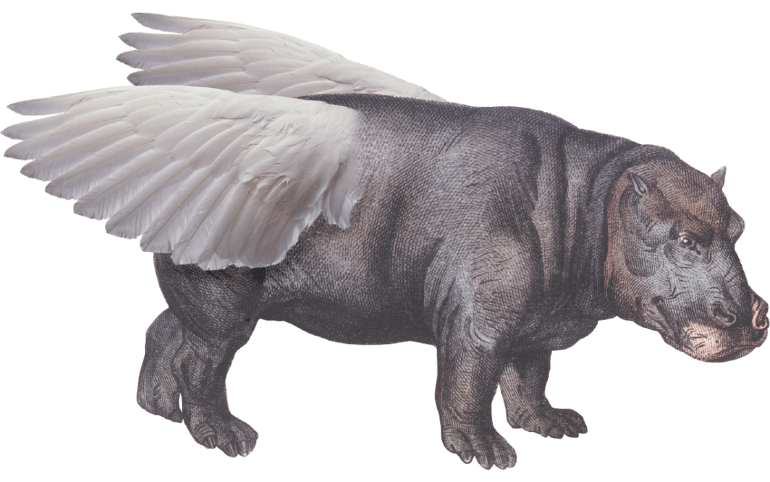 Flying Hippo Brand+Digital | Des Moines Branding & Digital Agency