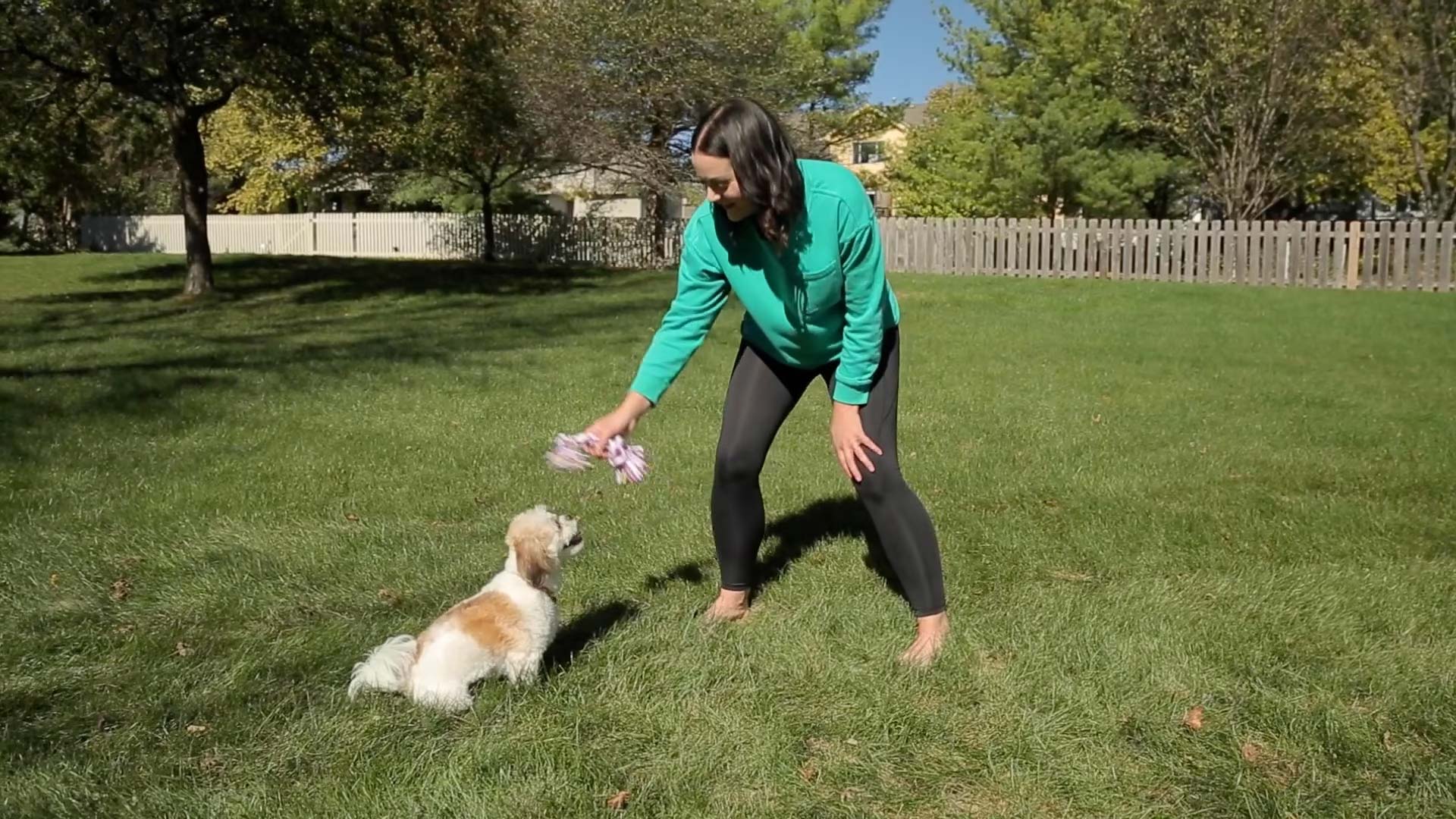 Farmers State Bank – "Doggy Doo Doo" (:30 Ad) | Flying Hippo